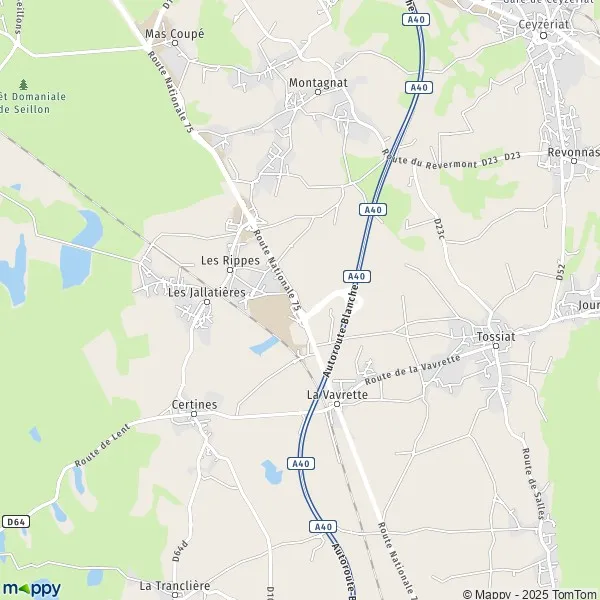 Plan Domaine du Pont : carte de Domaine du Pont, 01250 Tossiat et infos ...