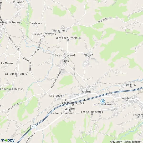 Plan Sâles : carte de Sâles (1625) et infos pratiques