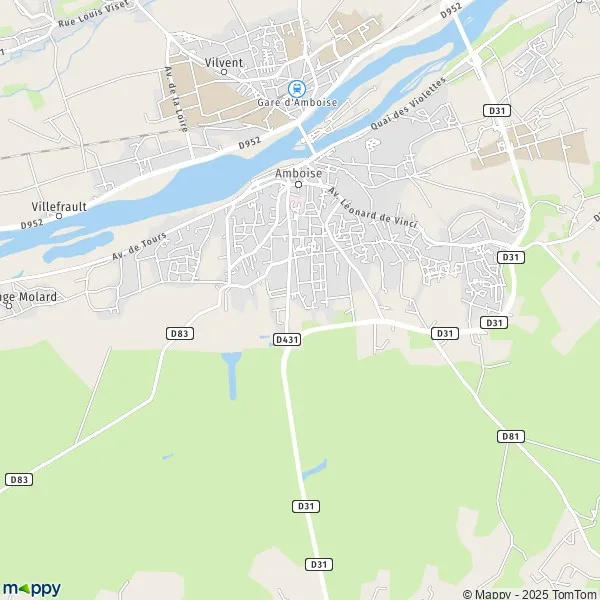 Plan Ville David : carte de Ville David, 37400 Amboise et infos pratiques