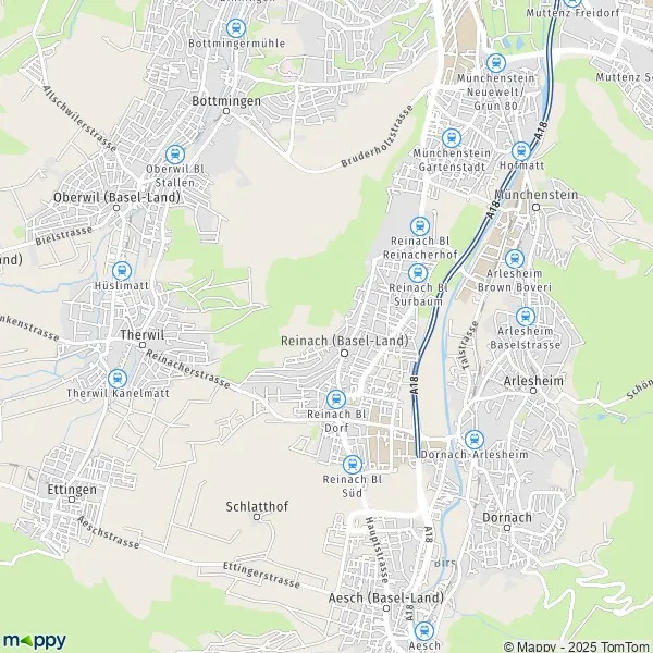 Plan Reinach (Basel-Land) : carte de Reinach (Basel-Land) (4103) et ...