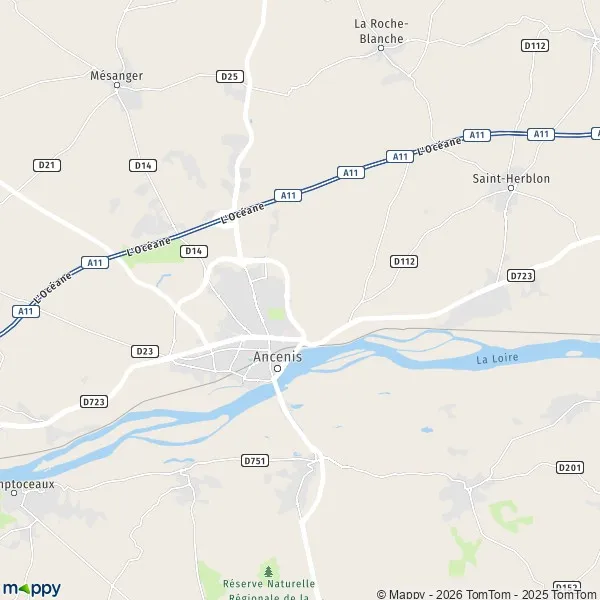 Plan Espace Procom : carte de Espace Procom, 44150 Ancenis-Saint-Géréon ...