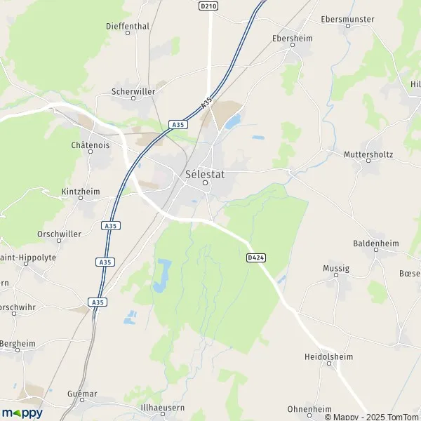 Plan Forêt de Sélestat : carte de Forêt de Sélestat, 67600 Kintzheim et ...