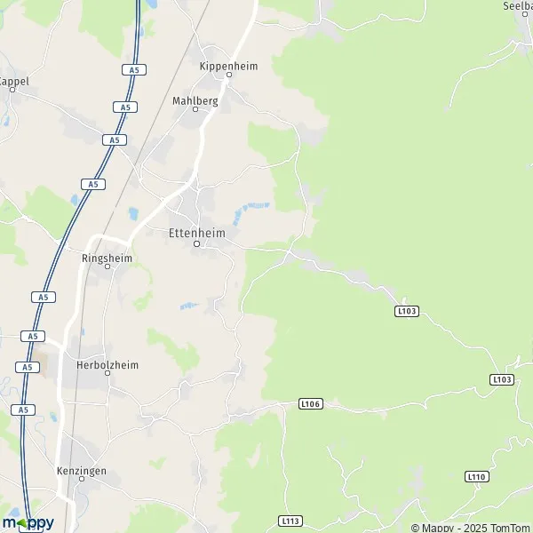 Plan Ringsheim : carte de Ringsheim (77955) et infos pratiques