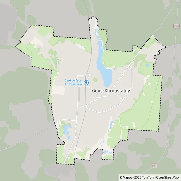 Carte Gous-Khroustalny : plan de Gous-Khroustalny et infos pratiques ...